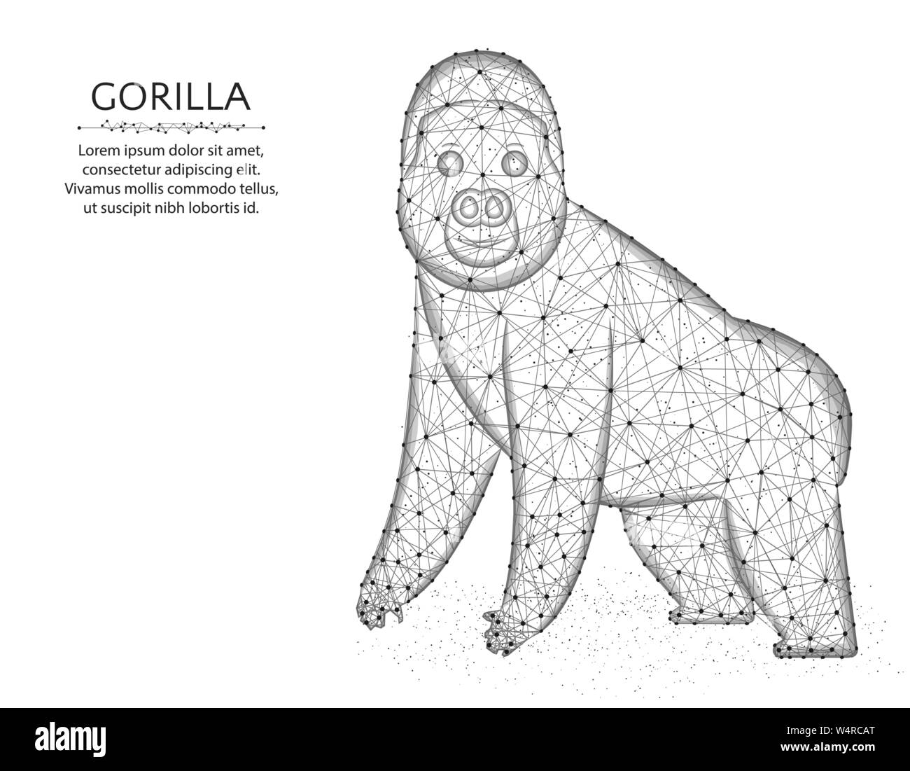 Gorilla low poly design, African animal polygonal wireframe vector ...