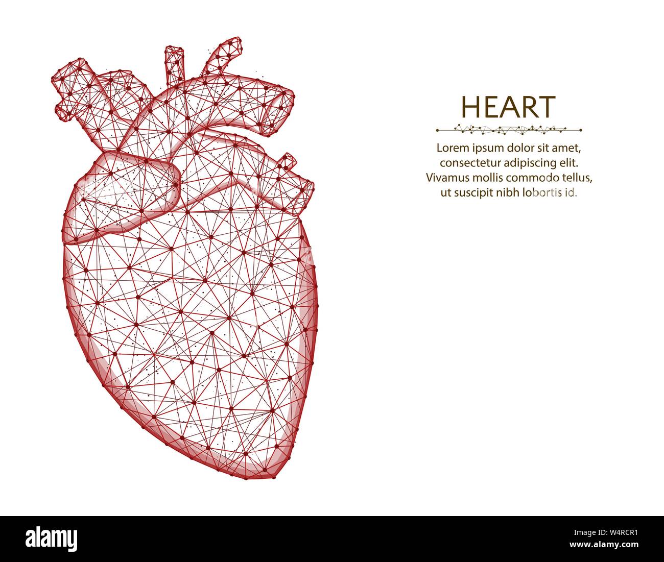 Heart with aorta and veins low poly design, human organs abstract ...