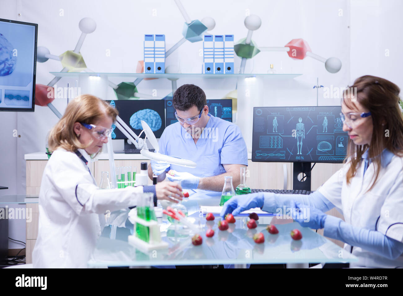 Team of biochemist work with genetically modified strawberry fruits ...