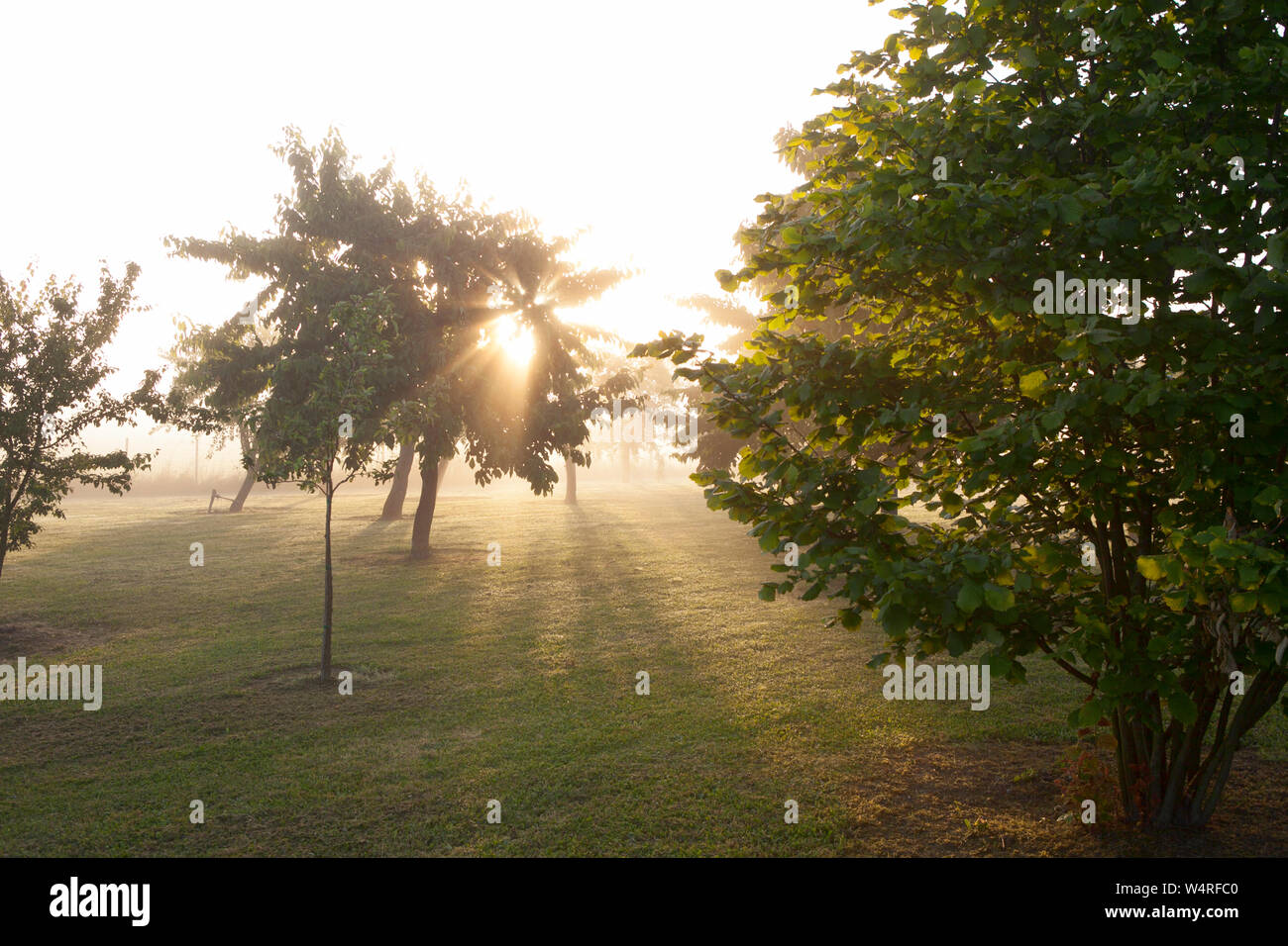 Rising sun early in hi-res stock photography and images - Alamy
