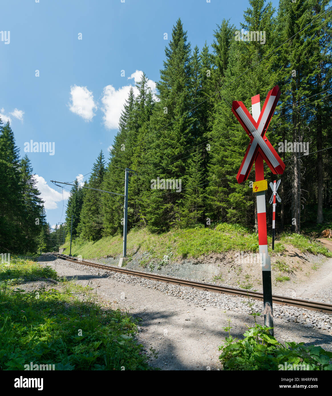 hiking path crosses railroad tracks in the forest at an ungarded ...