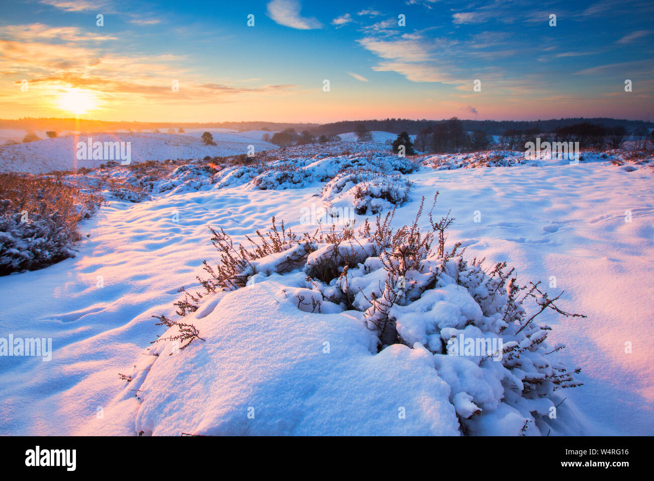 A winter landscape with white snow and warm light from the sun with ...