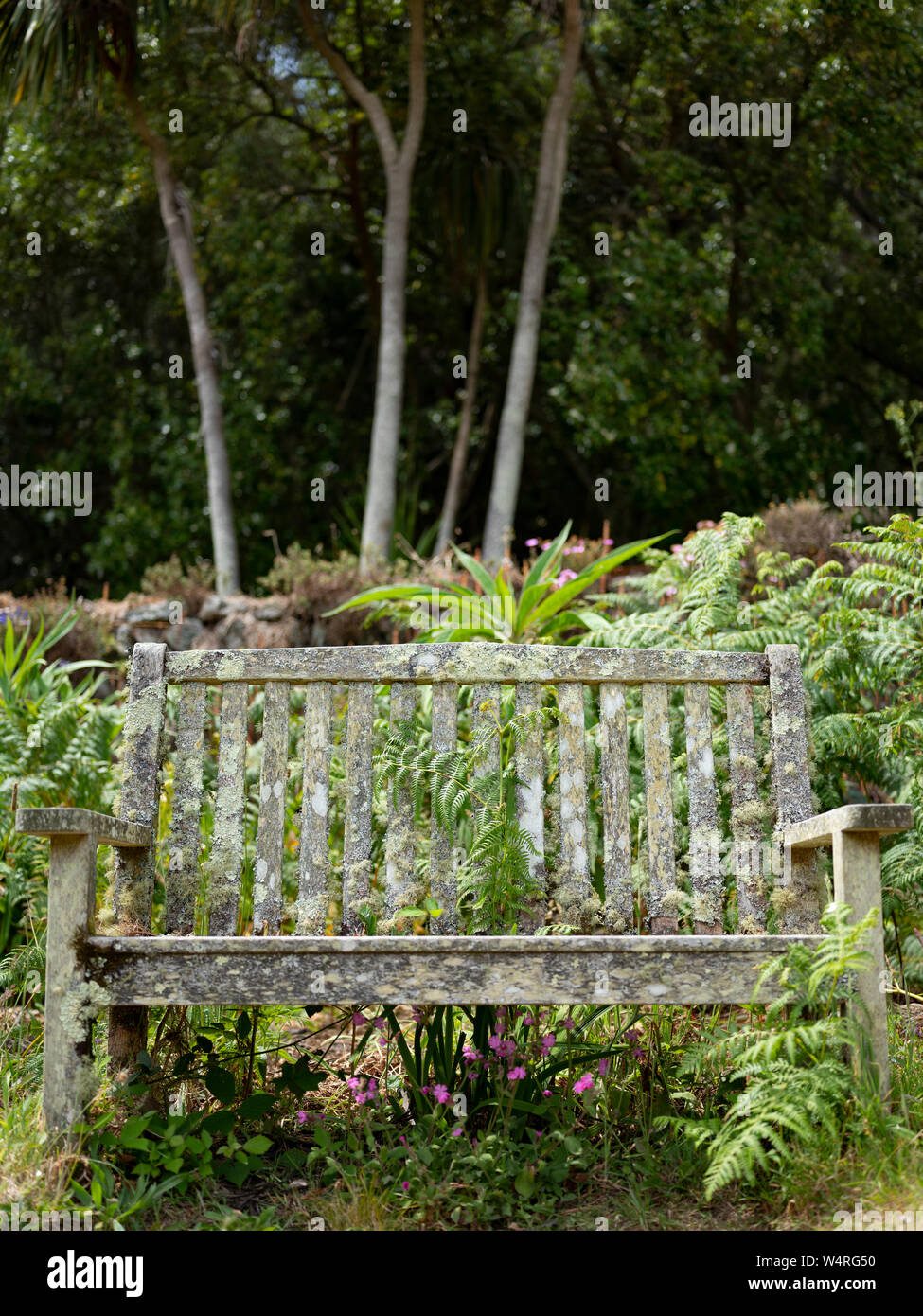 An old bench, reclaimed by nature Stock Photo - Alamy