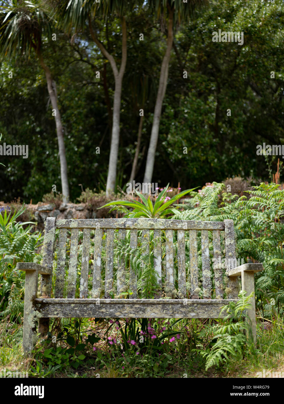 An old bench, reclaimed by nature Stock Photo - Alamy
