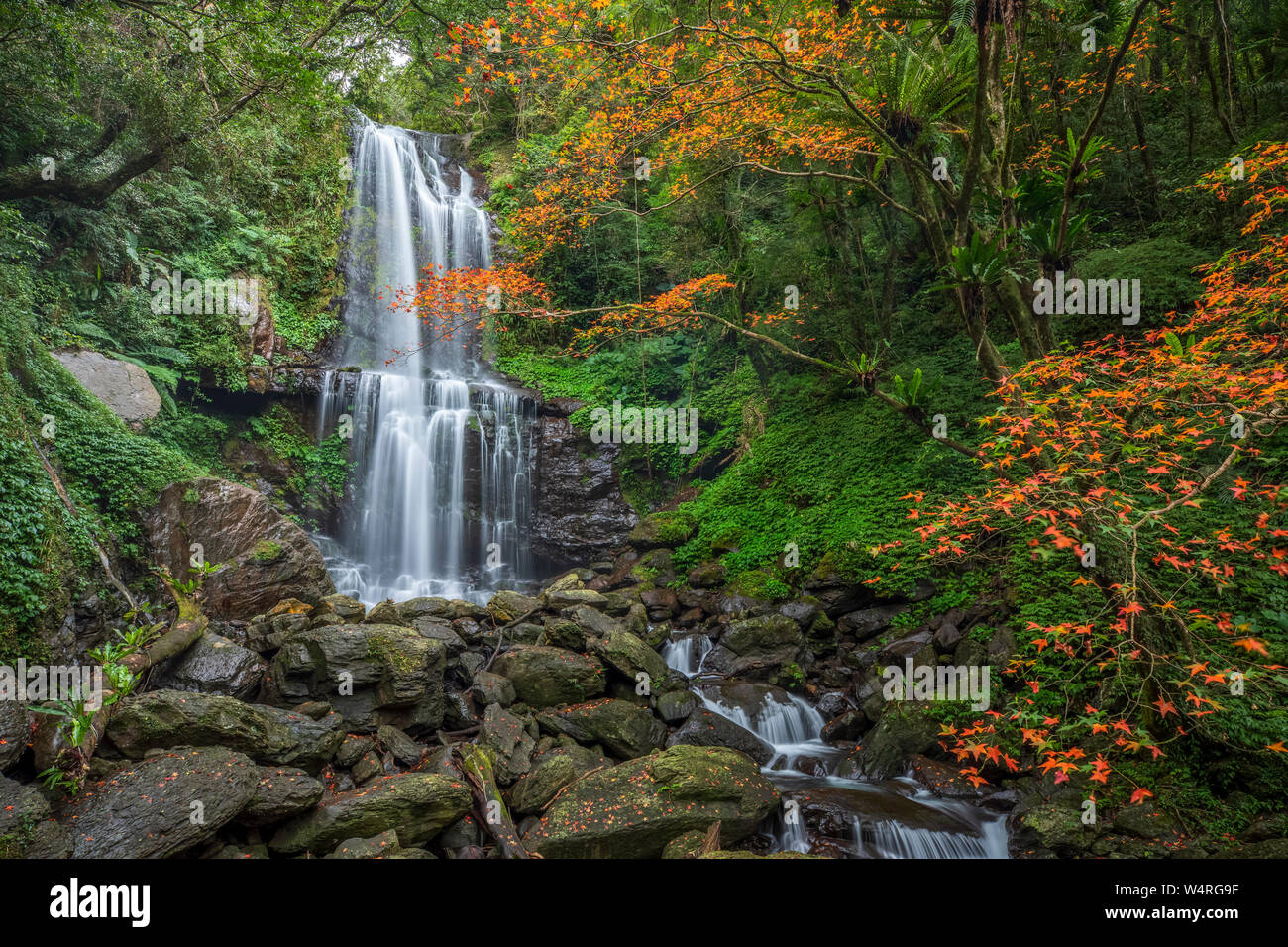Waterfall forest rocks hi-res stock photography and images - Alamy