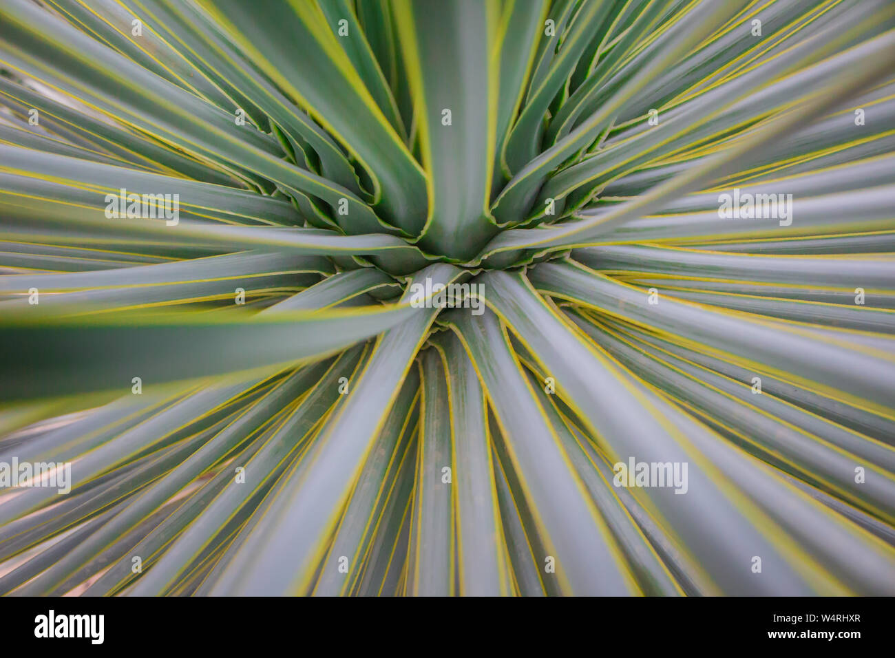 Natural wonders that people have not generated Stock Photo - Alamy