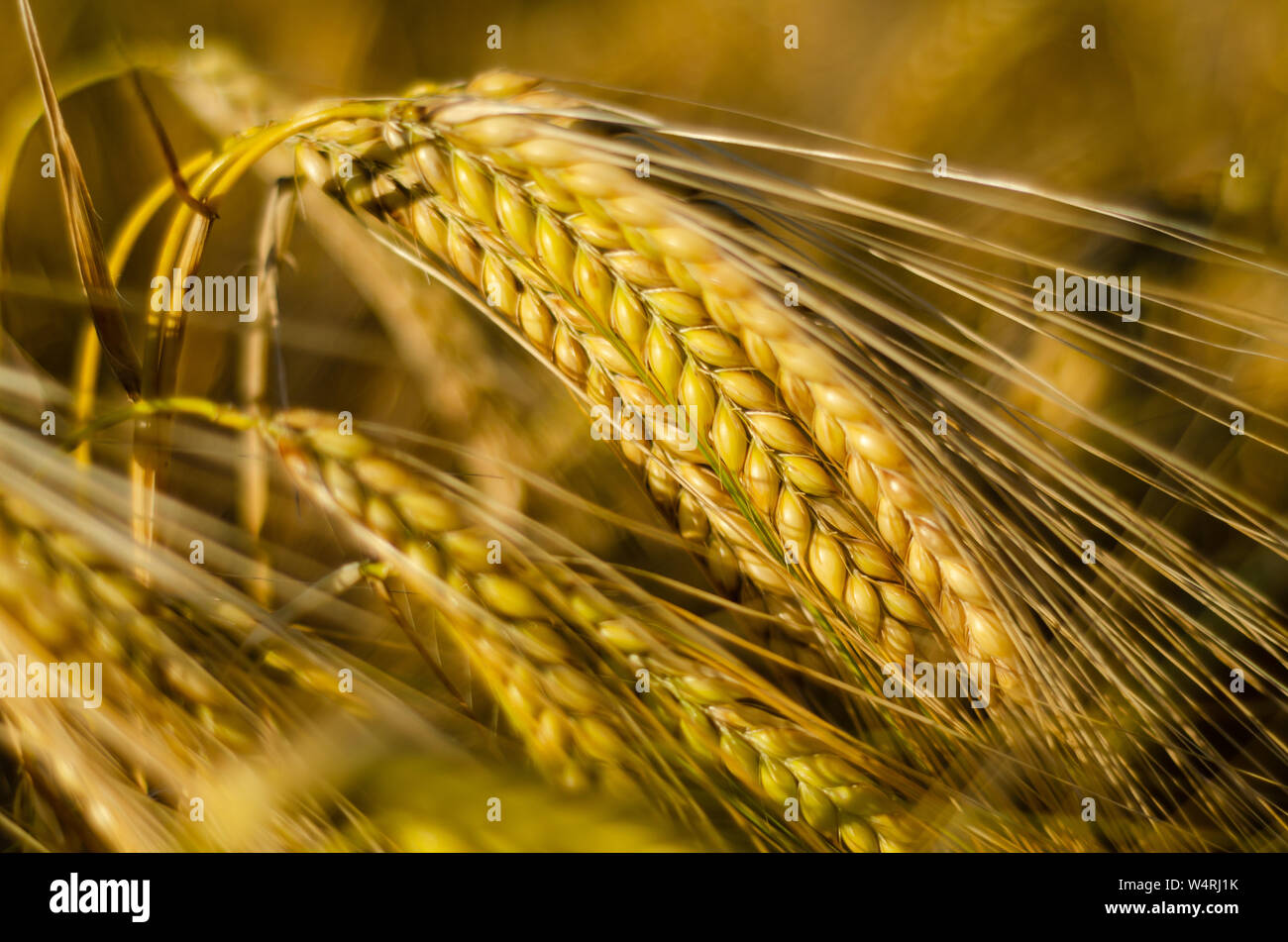 Awn hi-res stock photography and images - Alamy