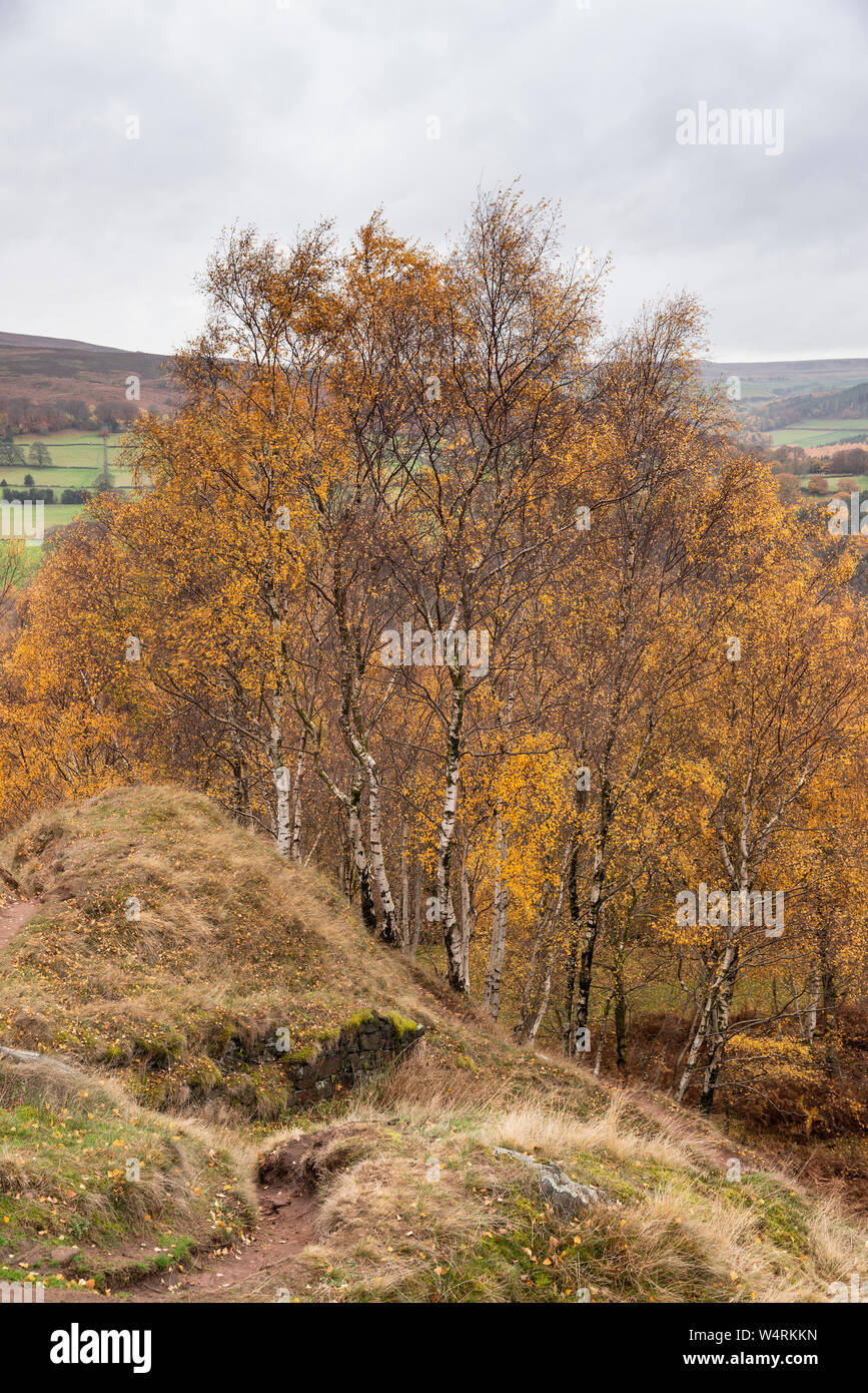 Beautiful Autumn Fall landscape scene from Surprise View in Peak ...
