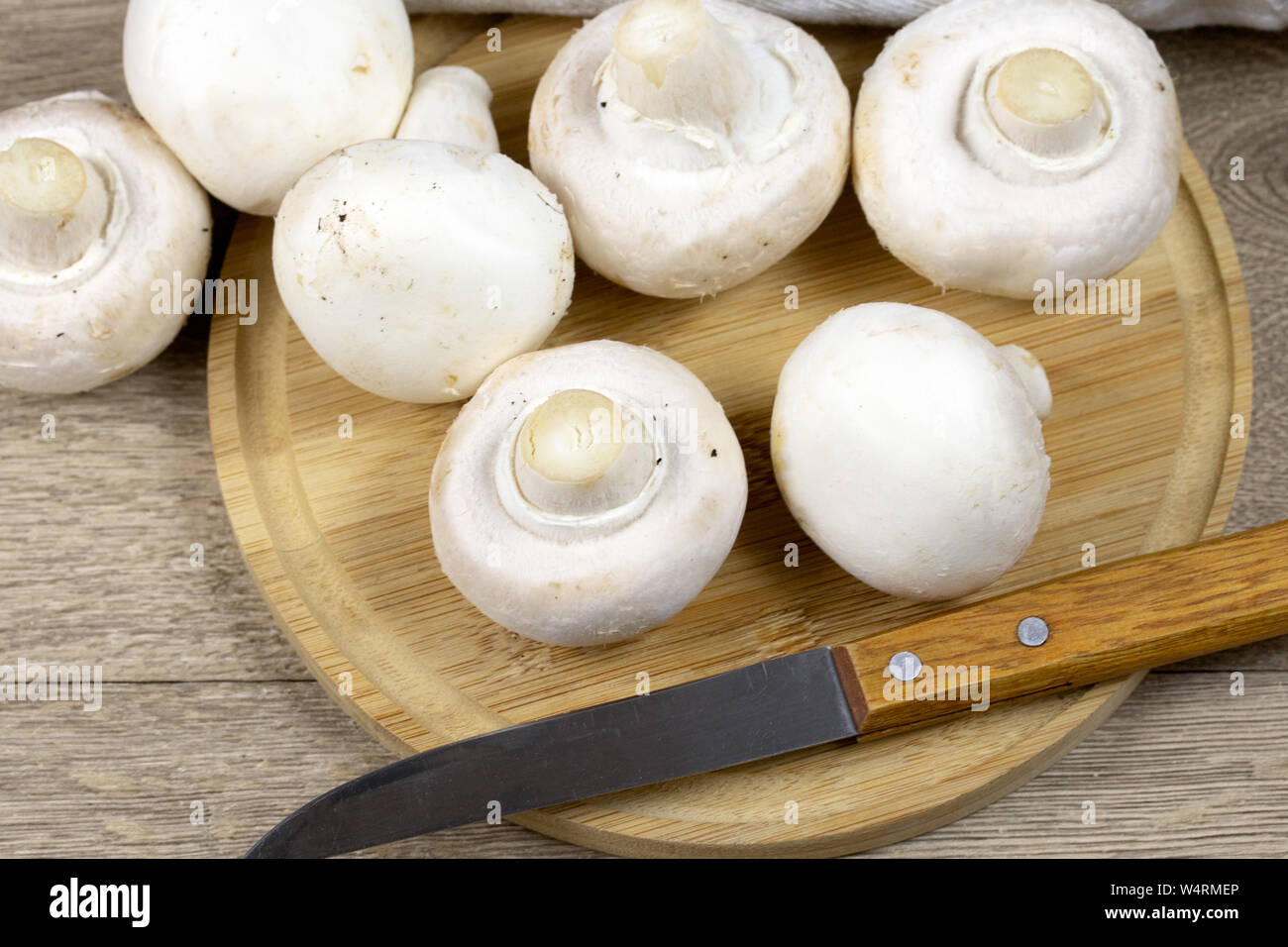 Champignon de paris hi-res stock photography and images - Alamy