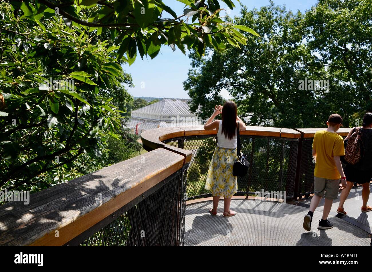 treetop walkway kew gardens royal botanic gardens london england UK ...