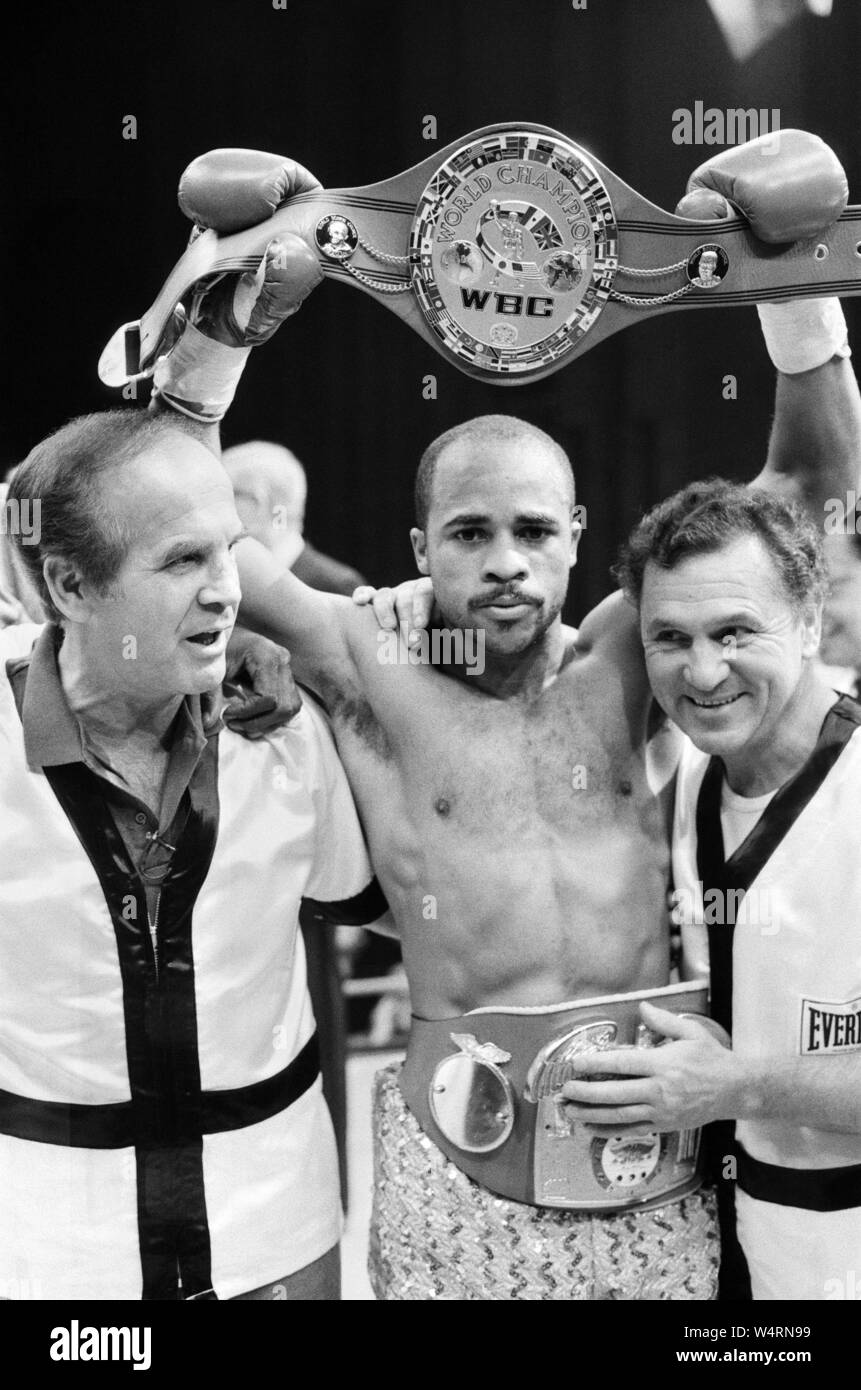 WBC and IBF, welterweight title fight between Lloyd Honeyghan and ...