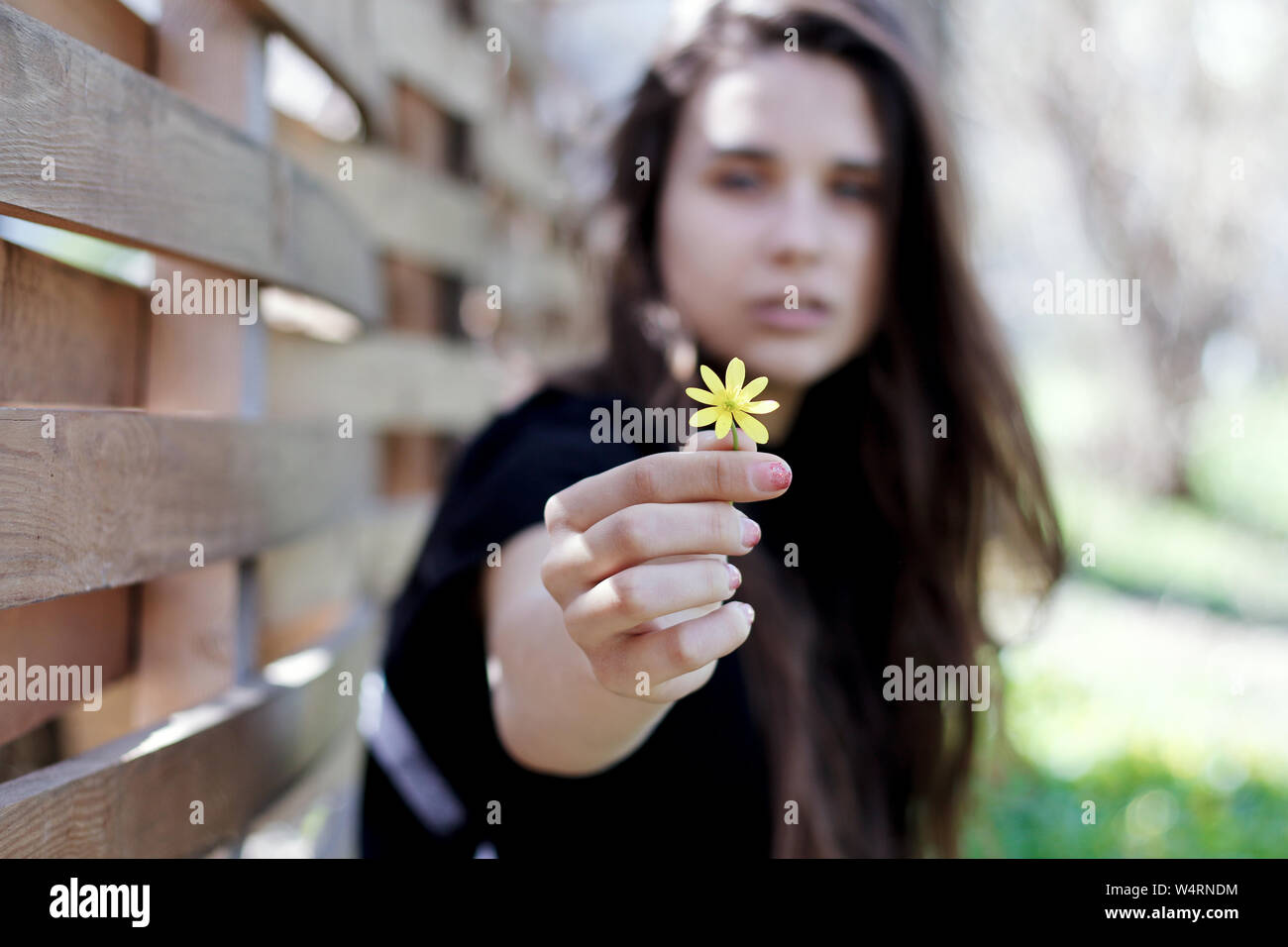 Flower in girls hand hi-res stock photography and images - Alamy