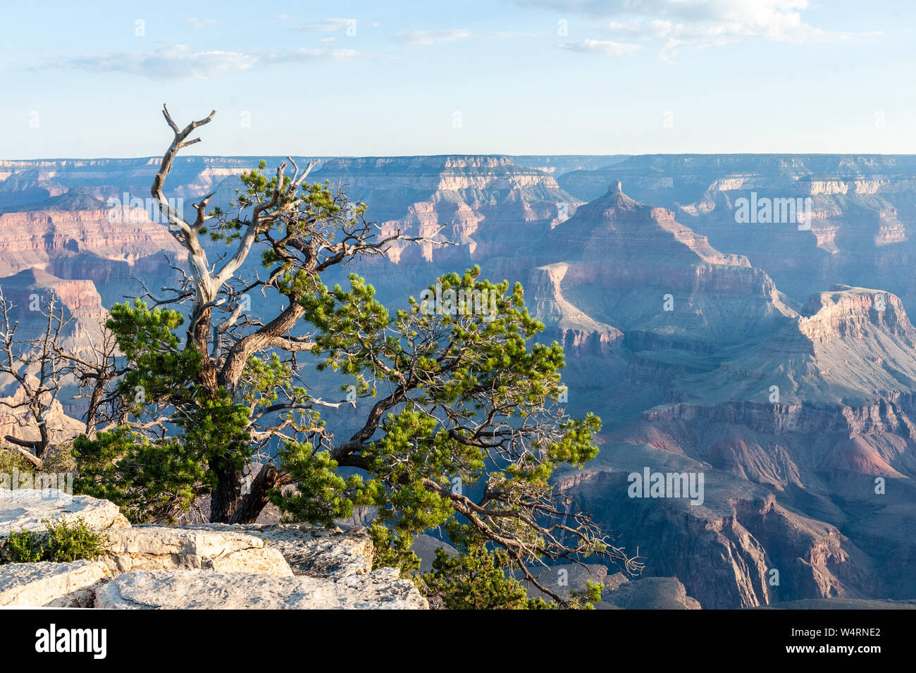 Rising sun over arizona desert hi-res stock photography and images - Alamy