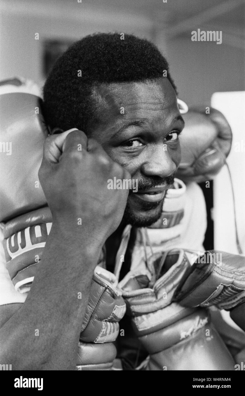 Maurice hope hi-res stock photography and images - Alamy