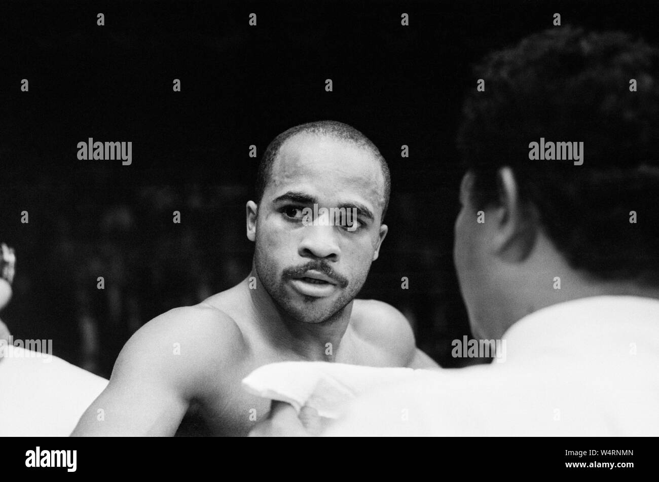 WBC and IBF, welterweight title fight between Lloyd Honeyghan and ...