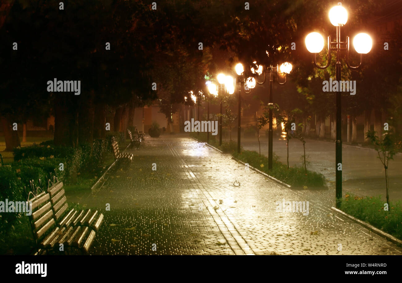 Night park lit by lanterns. Wet benches and paving stones after rain ...