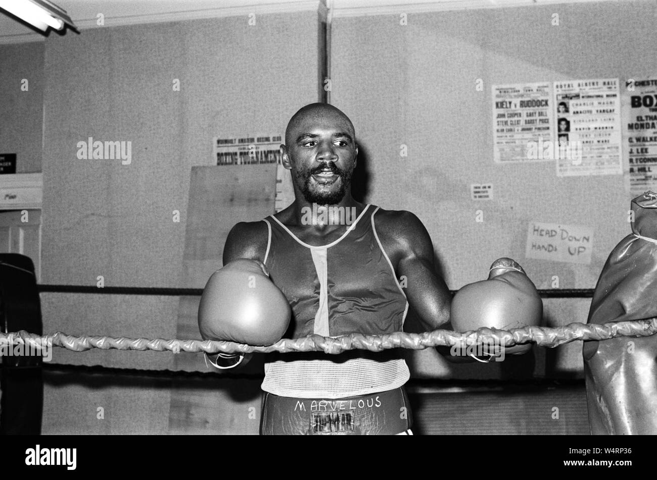 Alan minter hi-res stock photography and images - Alamy