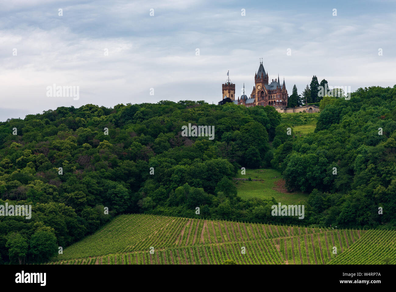 Mehlem hi-res stock photography and images - Alamy