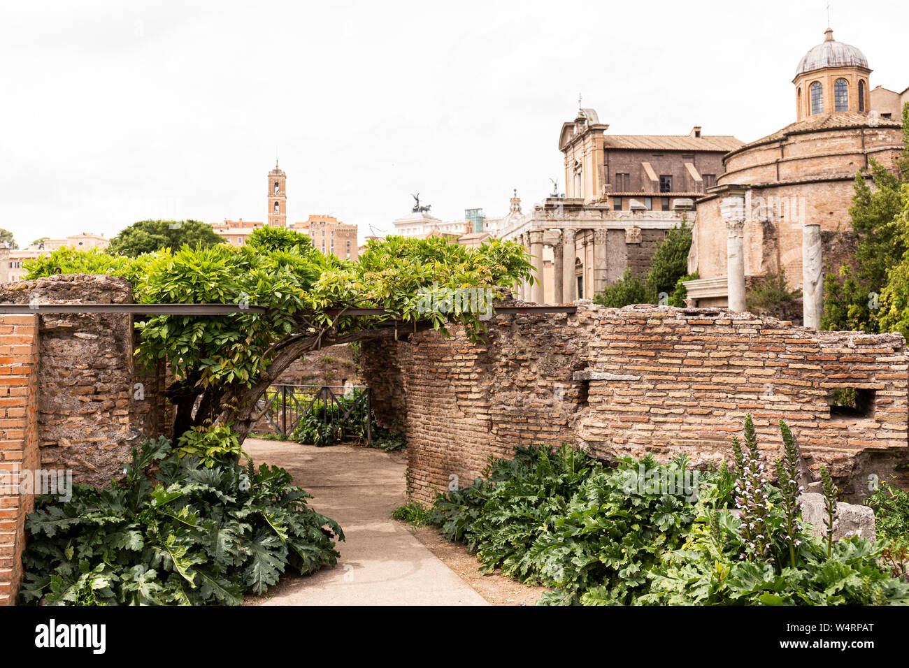 ROME, ITALY - JUNE 28, 2019: ancient buildings, brick walls and green ...