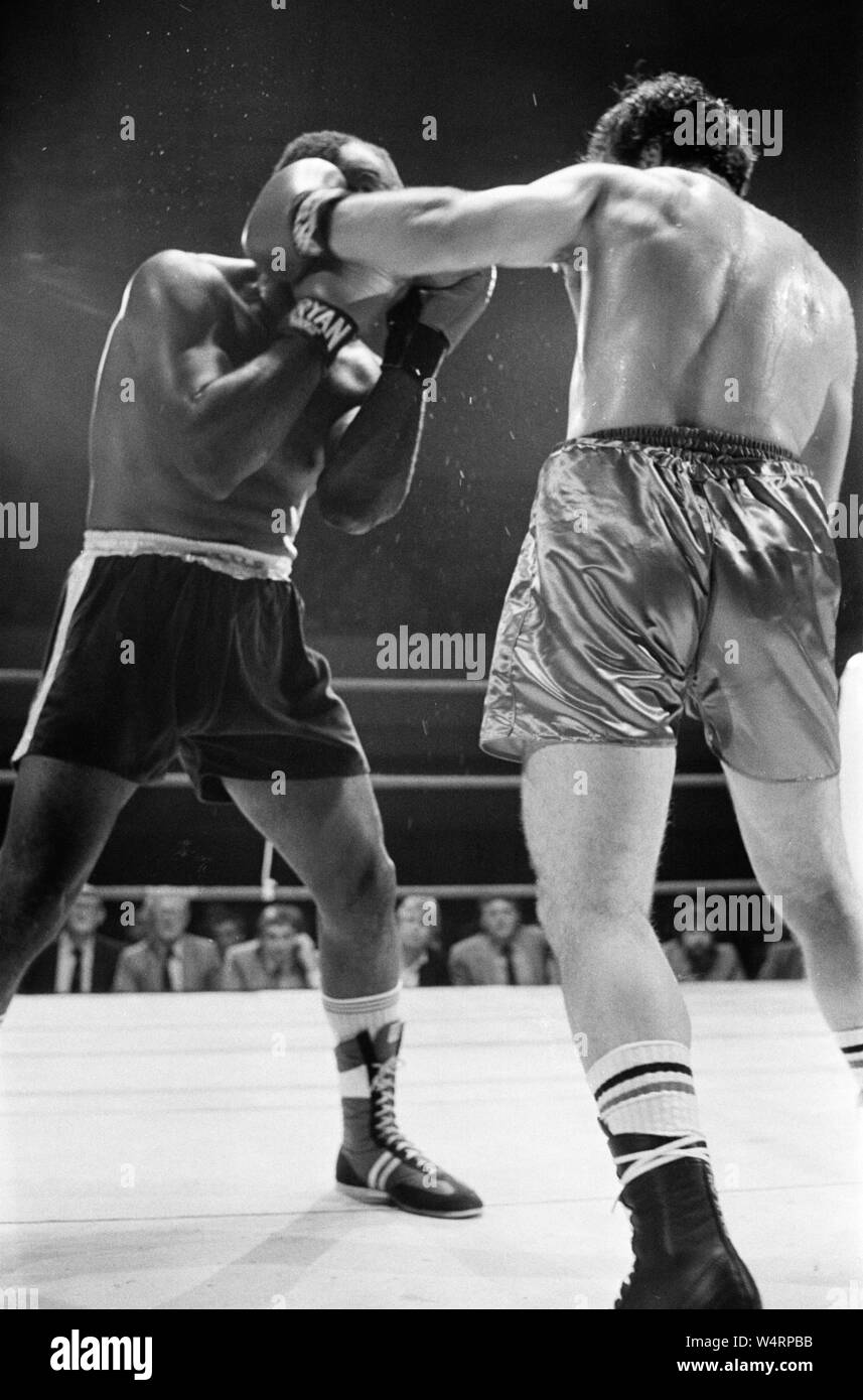 David pearce , boxer hi-res stock photography and images - Alamy