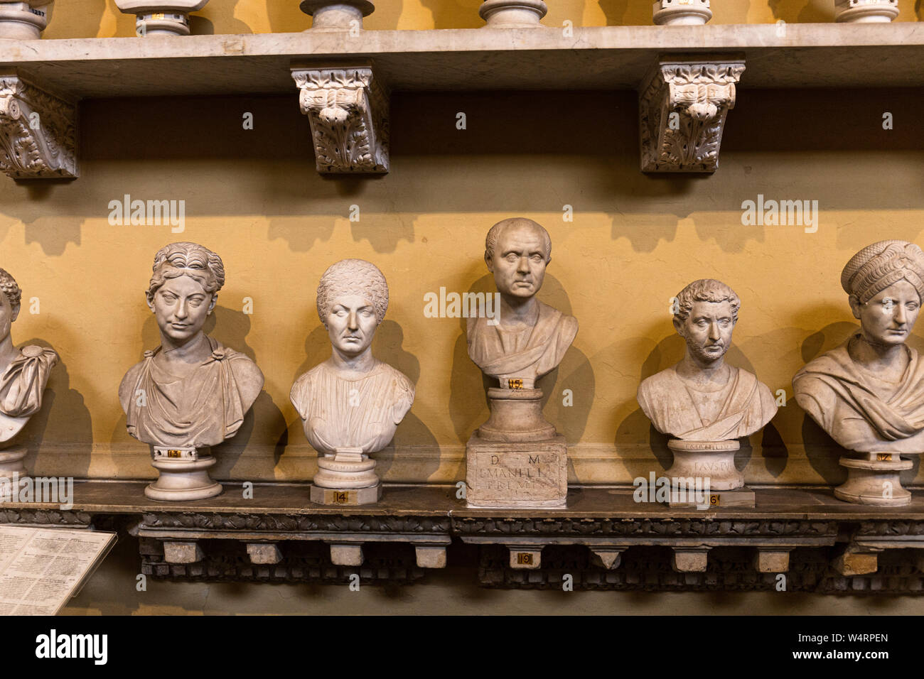 ROME, ITALY - JUNE 28, 2019: front view of ancient busts in vatican ...