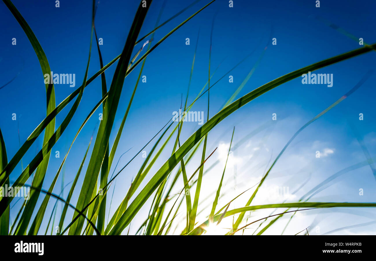 Rustling hi-res stock photography and images - Alamy