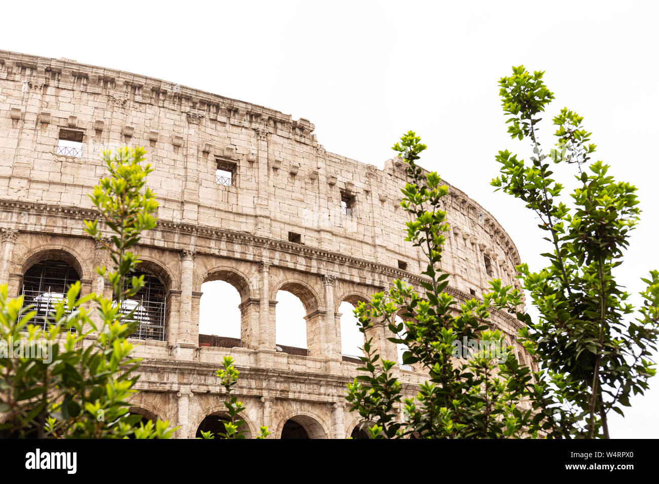 ROME, ITALY - JUNE 28, 2019: ruins of colosseum and green trees under ...