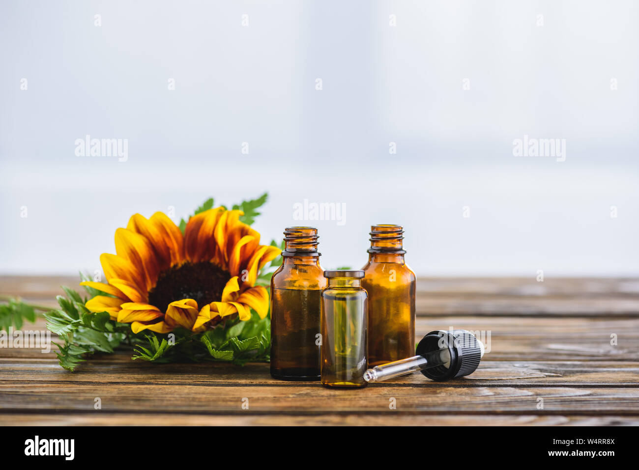 bottles with essential oils, dropper and sunflower on white background ...