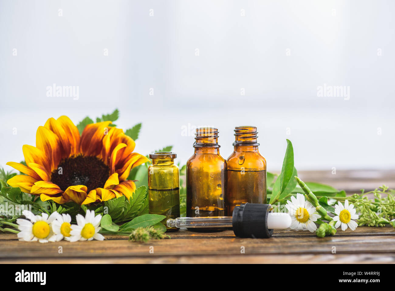 sunflower, chamomile flowers, bottles with essential oils and dropper ...
