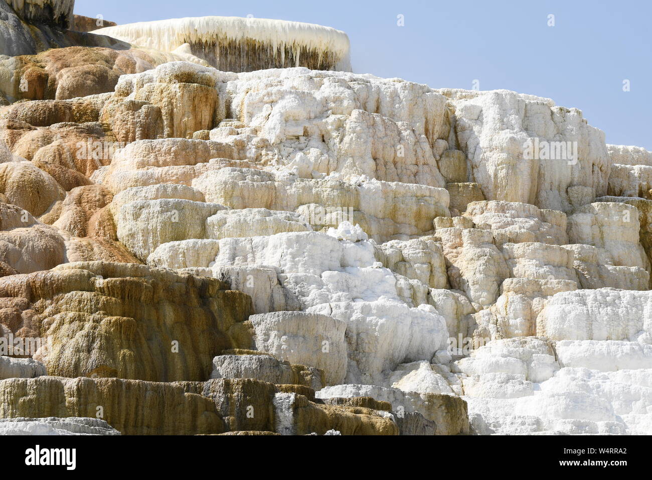 thermal springs and limestone formations at mammoth hot springs in ...