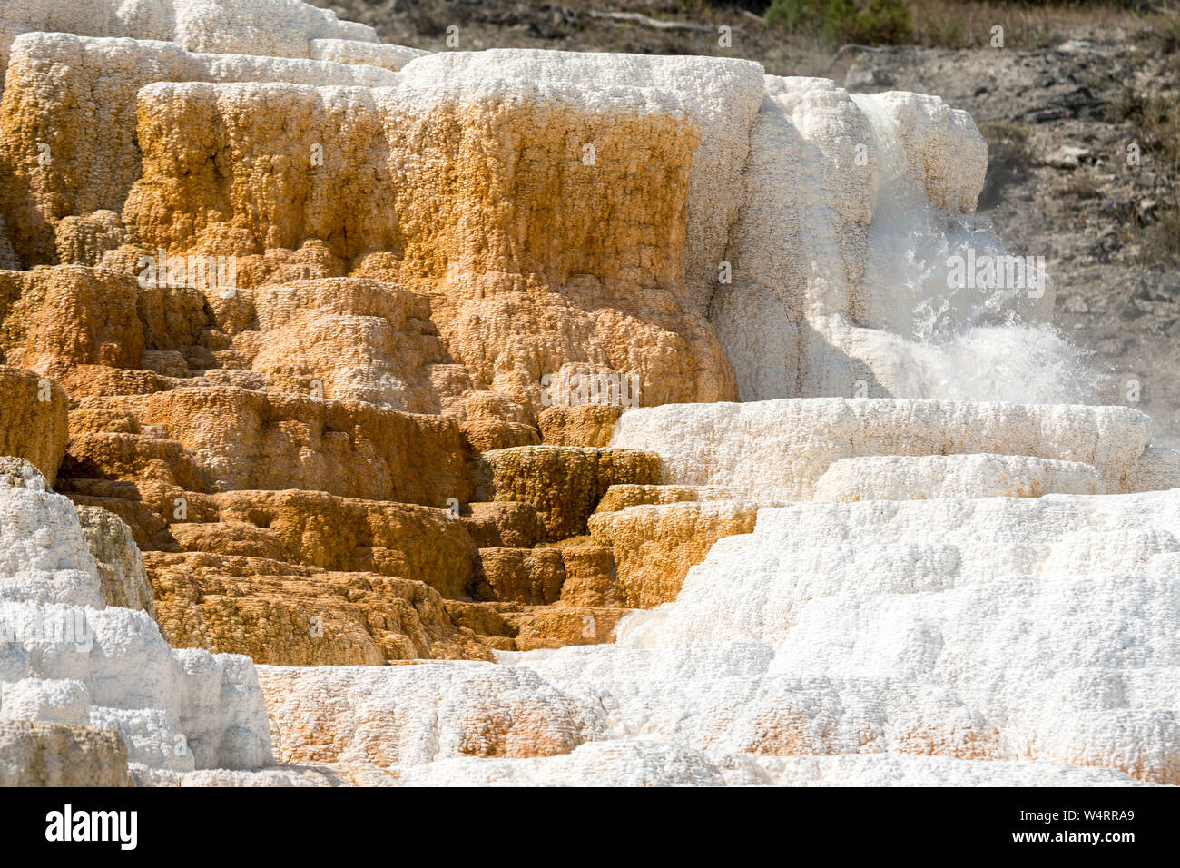 thermal springs and limestone formations at mammoth hot springs in ...