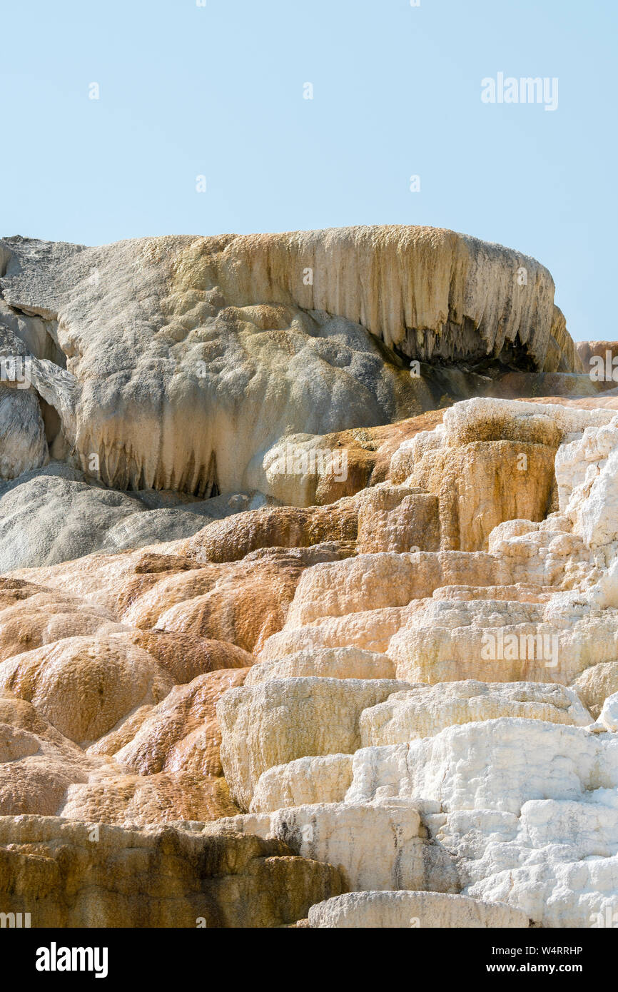 thermal springs and limestone formations at mammoth hot springs in ...