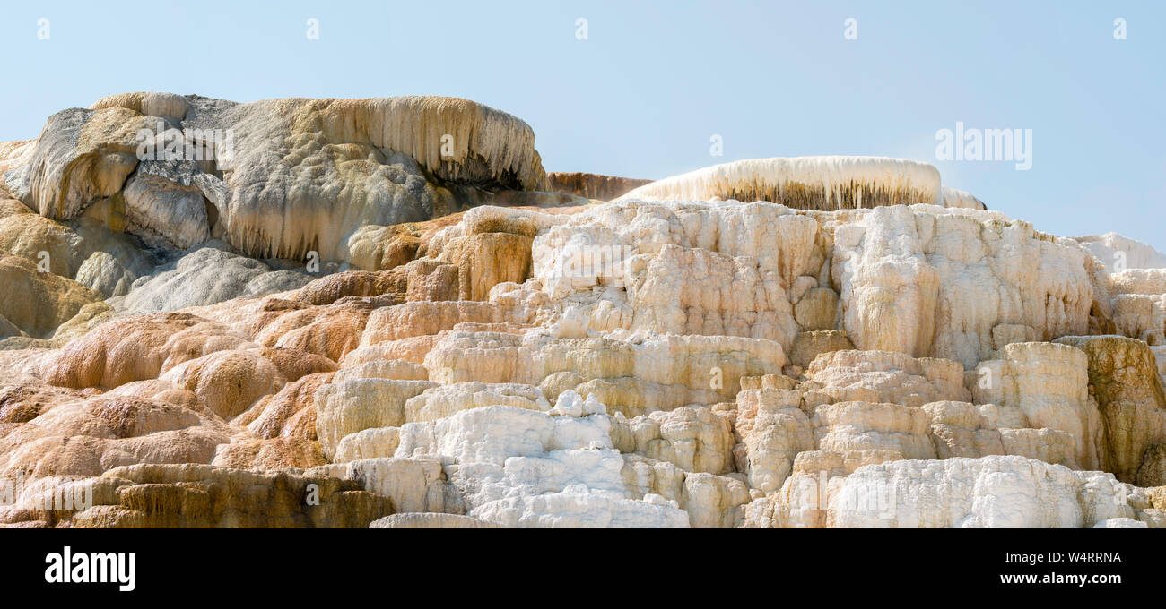 thermal springs and limestone formations at mammoth hot springs in ...