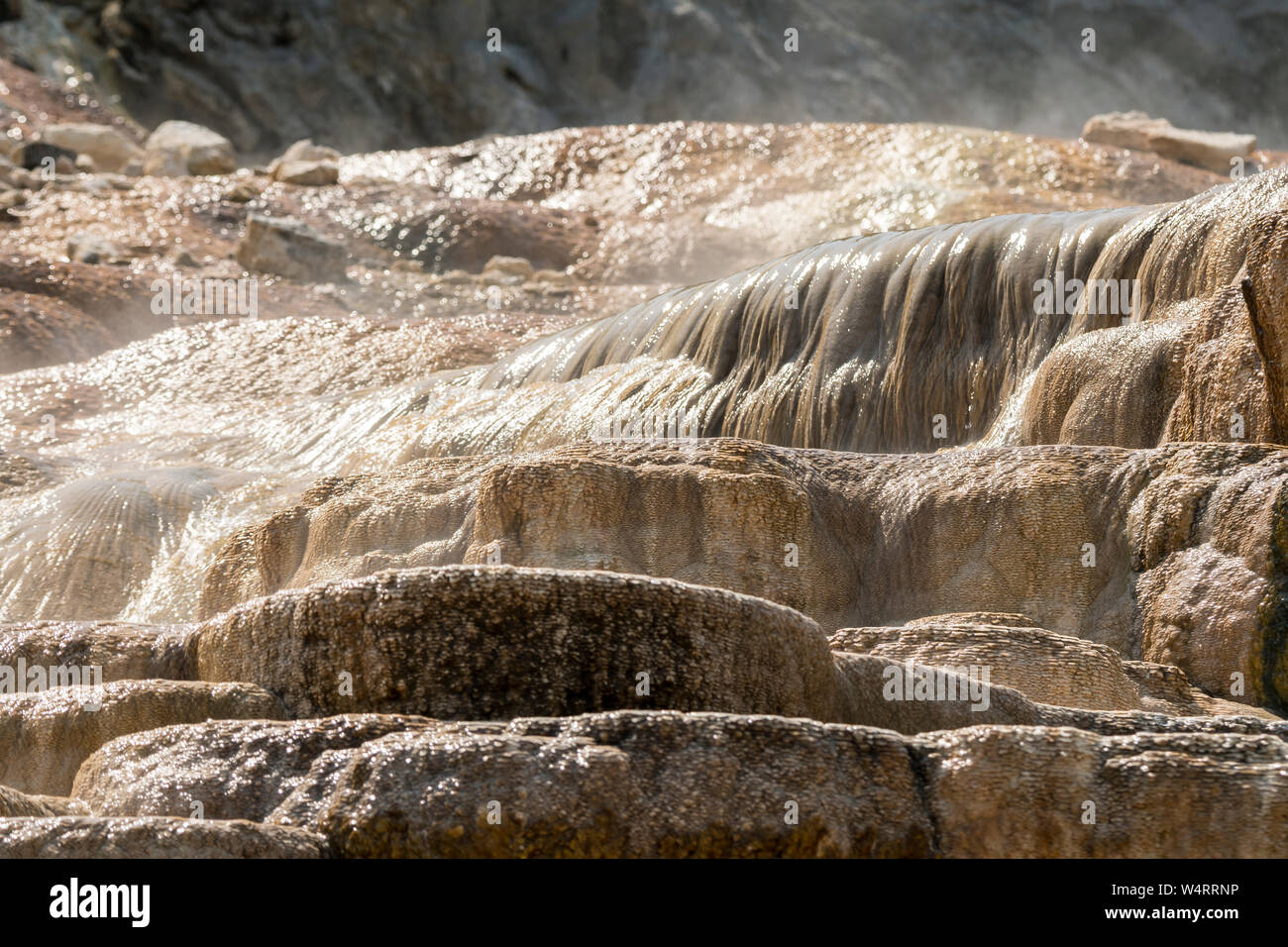 thermal springs and limestone formations at mammoth hot springs in ...