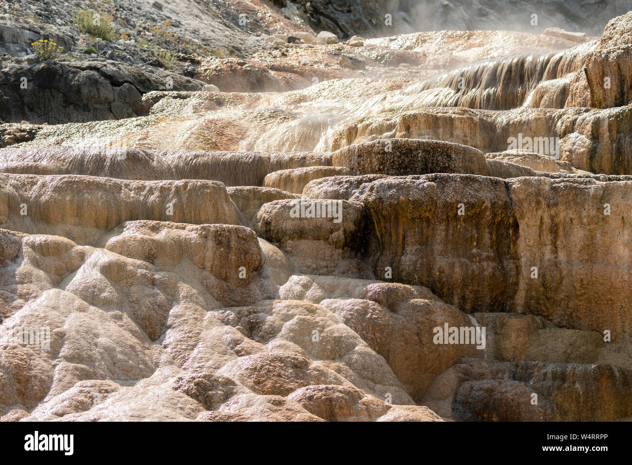 thermal springs and limestone formations at mammoth hot springs in ...
