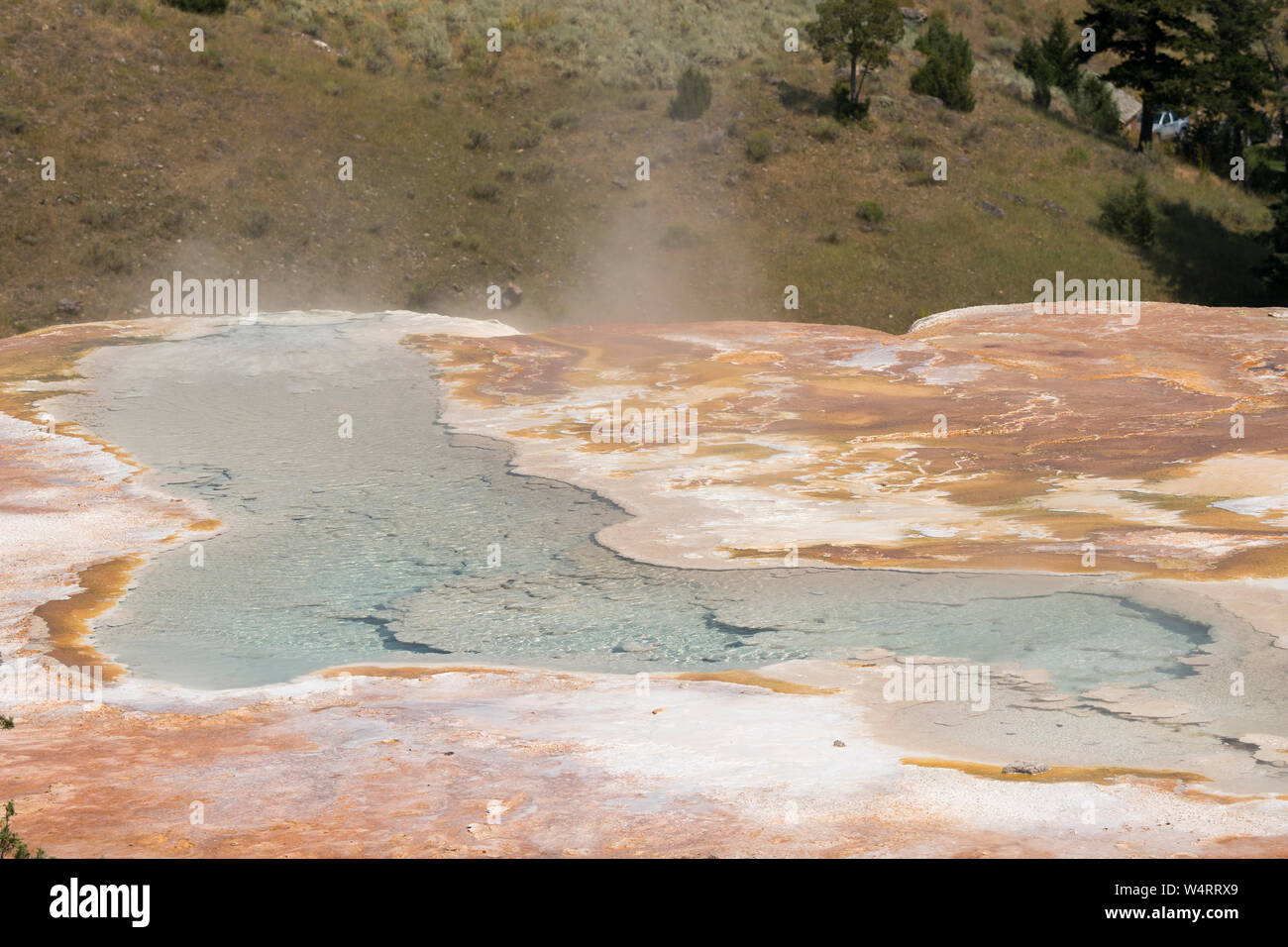 thermal springs and limestone formations at mammoth hot springs in ...