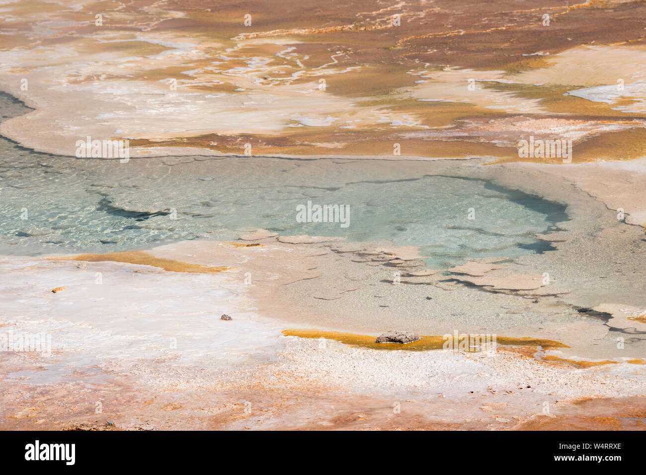 thermal springs and limestone formations at mammoth hot springs in ...