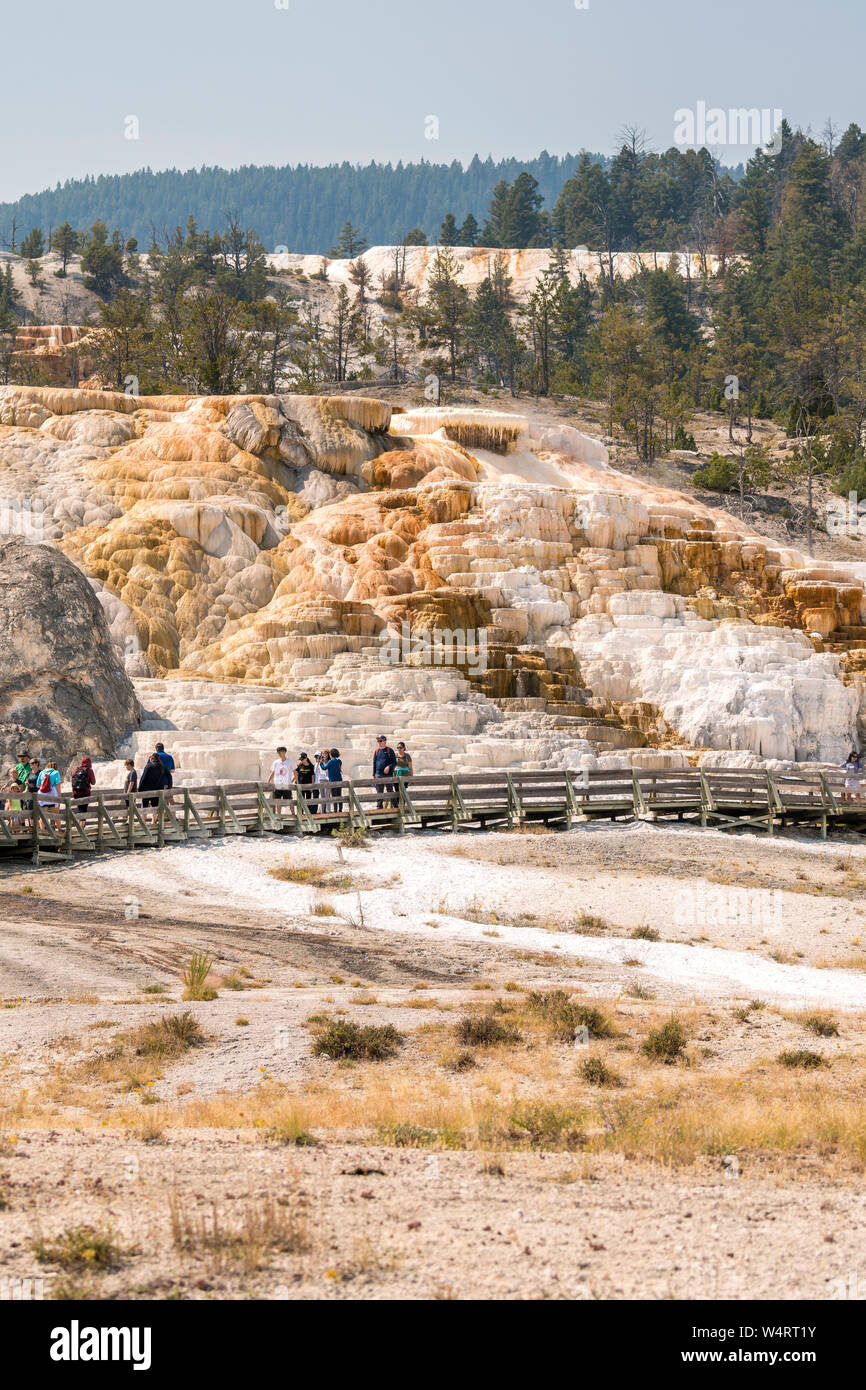 thermal springs and limestone formations at mammoth hot springs in ...