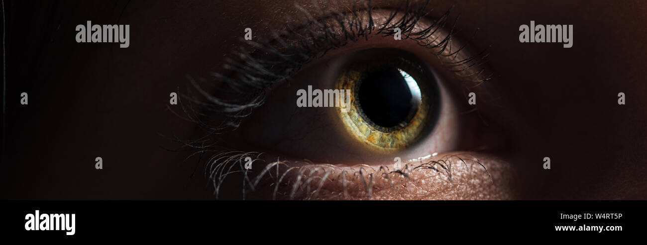 close up view of human bright eye looking away in dark, panoramic shot ...