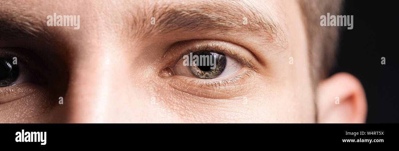 close up view of human grey eyes looking at camera, panoramic shot ...