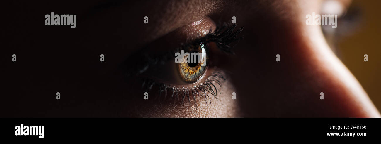 close up view of human eye in dark, panoramic shot Stock Photo - Alamy