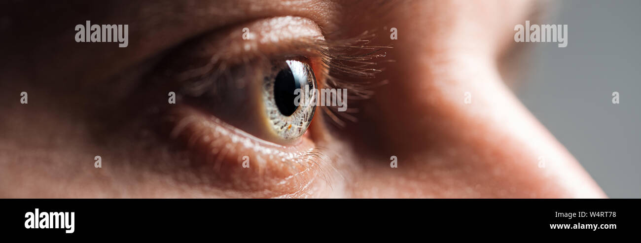 close up view of human eye looking away, panoramic shot Stock Photo - Alamy