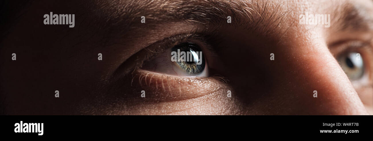 Human eyes in the dark hi-res stock photography and images - Alamy