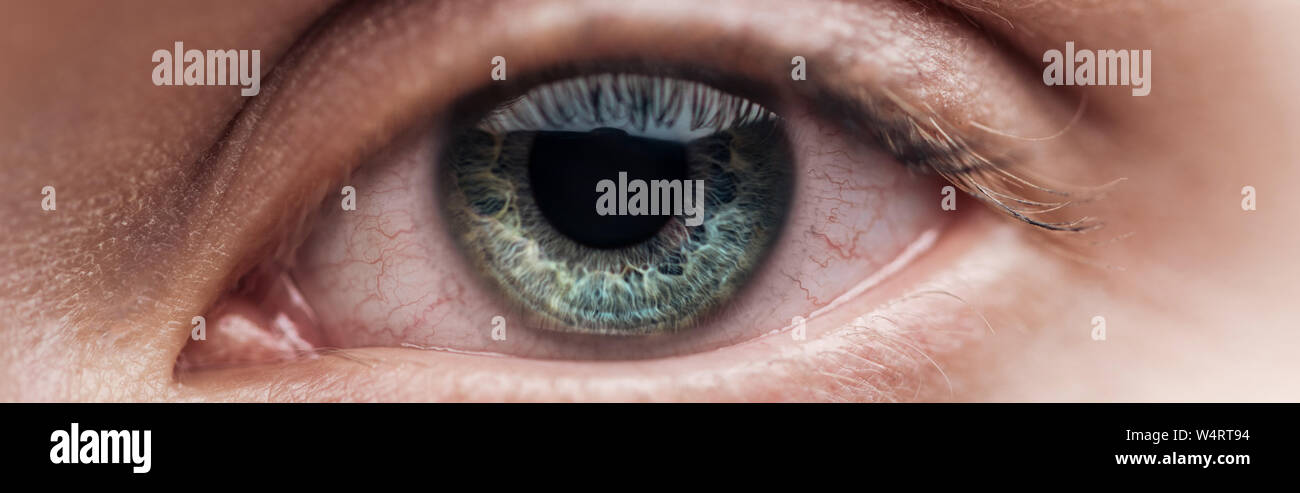 Human green eye hi-res stock photography and images - Alamy