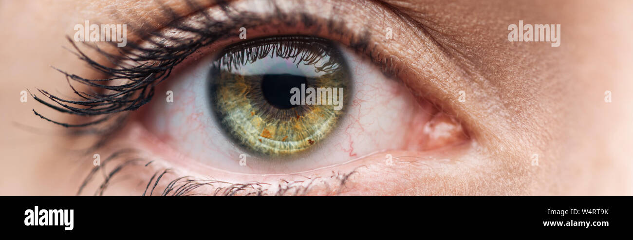 Human green eye hi-res stock photography and images - Alamy