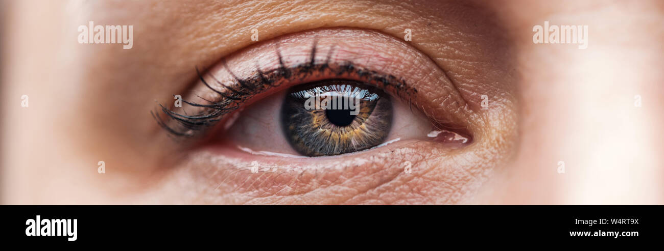 close up view of human eye looking at camera, panoramic shot Stock ...