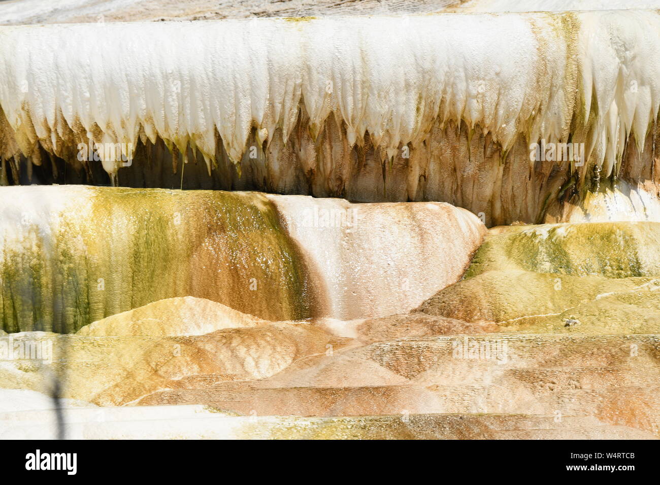 thermal springs and limestone formations at mammoth hot springs in ...
