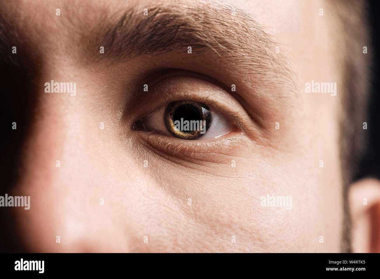 close up view of human eye with eyelashes and eyebrow looking at camera ... close up view of human eye with eyelashes and eyebrow looking at camera ...