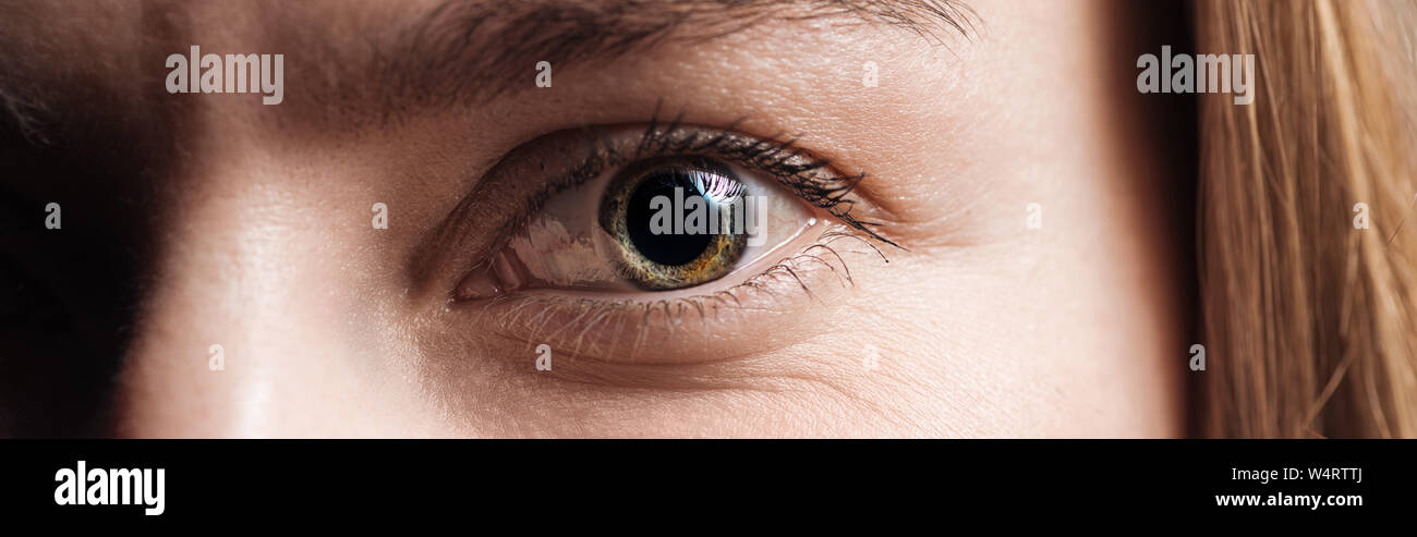 close up view of human eye looking at camera, panoramic shot Stock ...