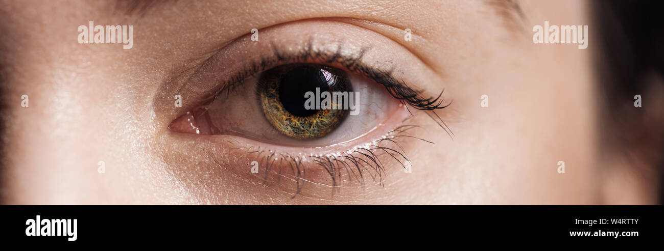Human eye looking hi-res stock photography and images - Alamy